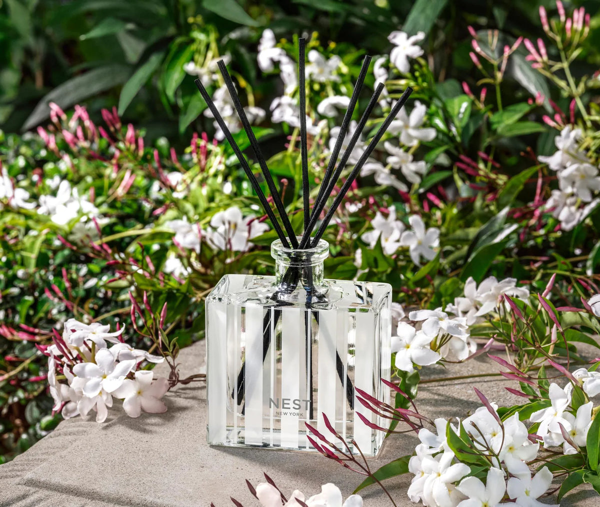 Indian Jasmine Reed Diffuser | Giftbar